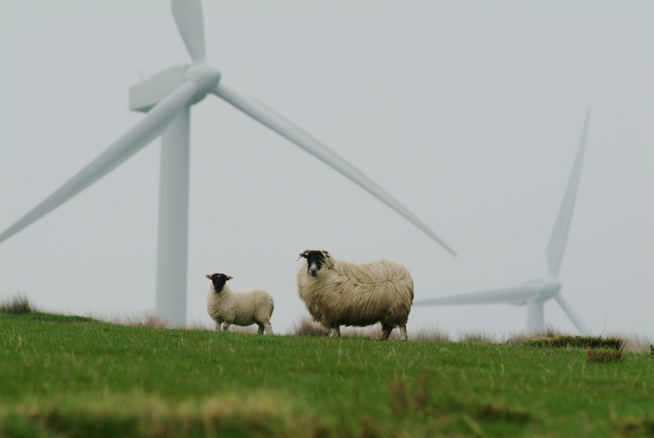 Skansen Europa. Polityka klimatyczna UE prowadzi do wzrostu emisji CO2